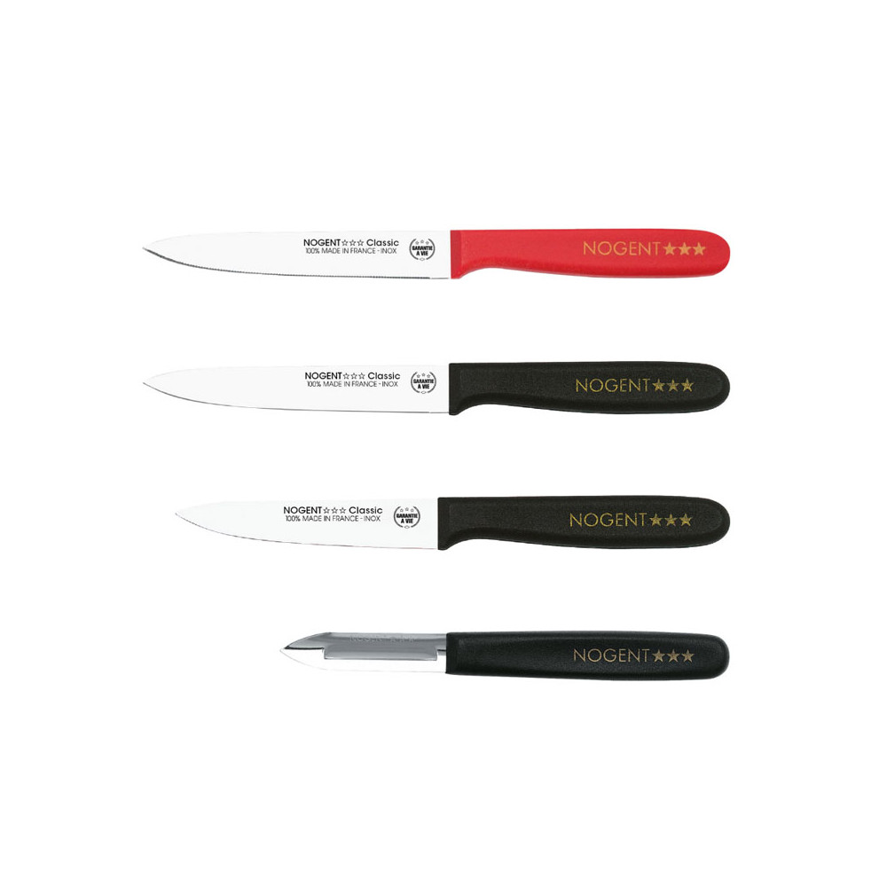 NOGENT Polypro Chefs Cuisine Set of 4 Knives
